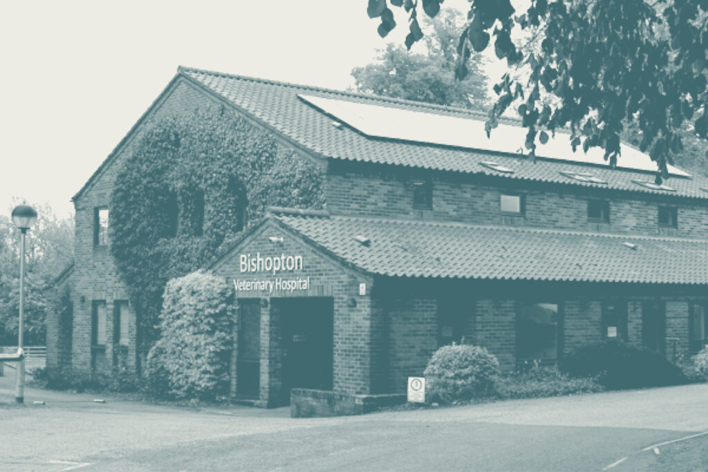 Out of Hours - Claro Hill Vets Harrogate